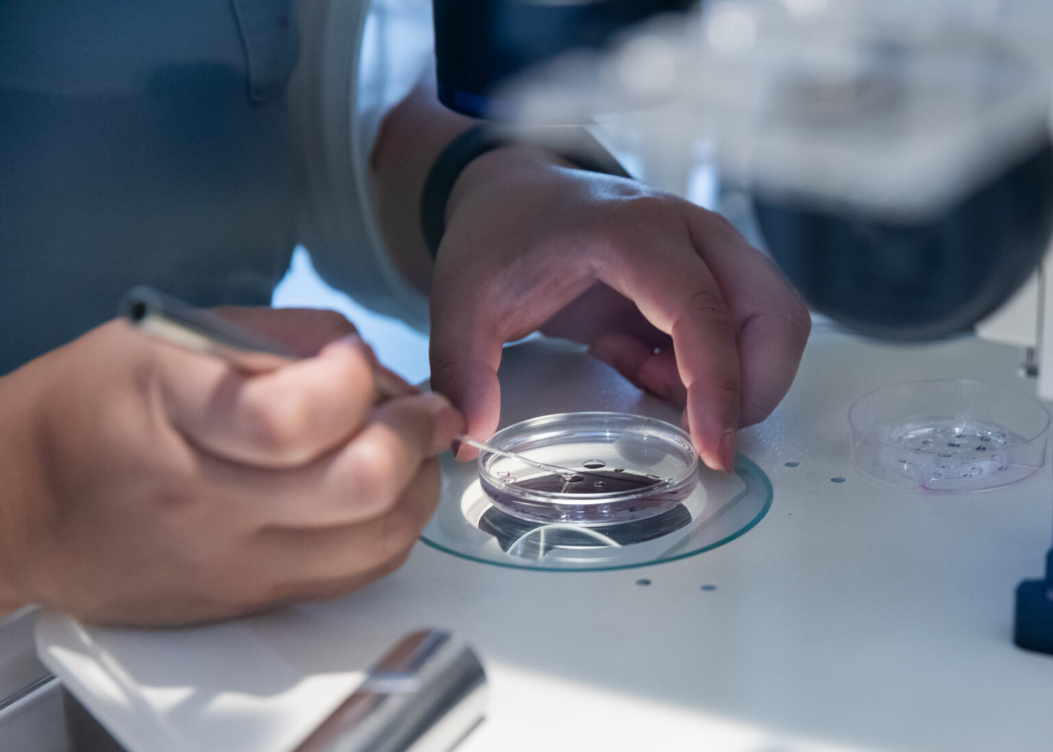Meet The Team - Mount Sinai Fertility